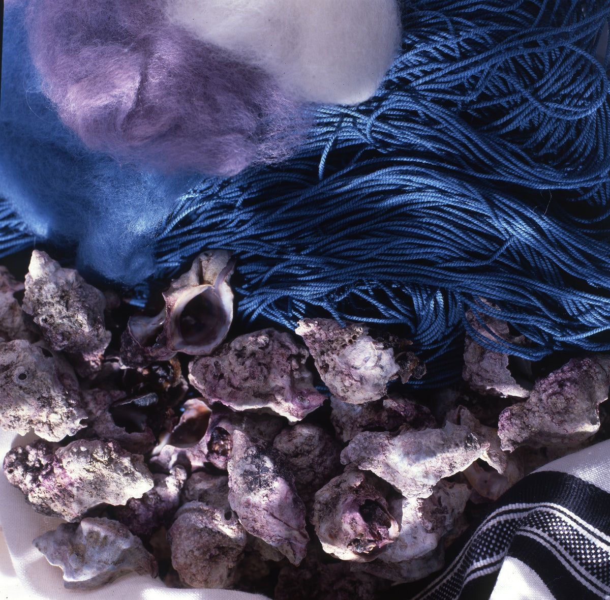 Art Gallery – PtilTekhelet